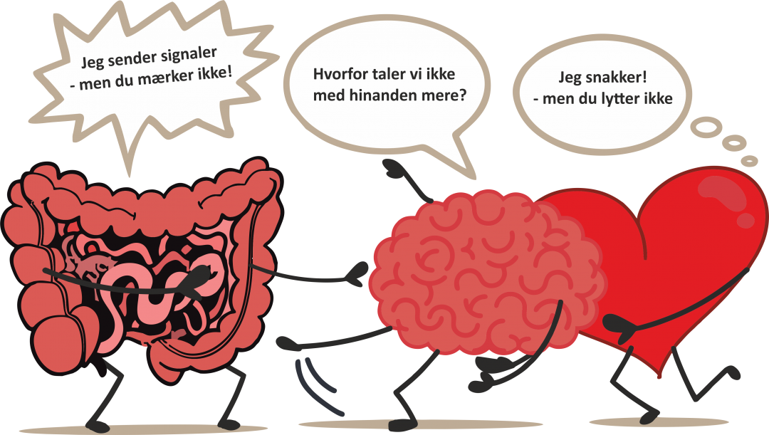 De 3 hjerner - Klinik Inner Peace