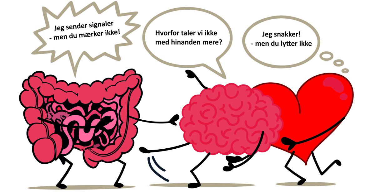 De 3 hjerner - Klinik Inner Peace